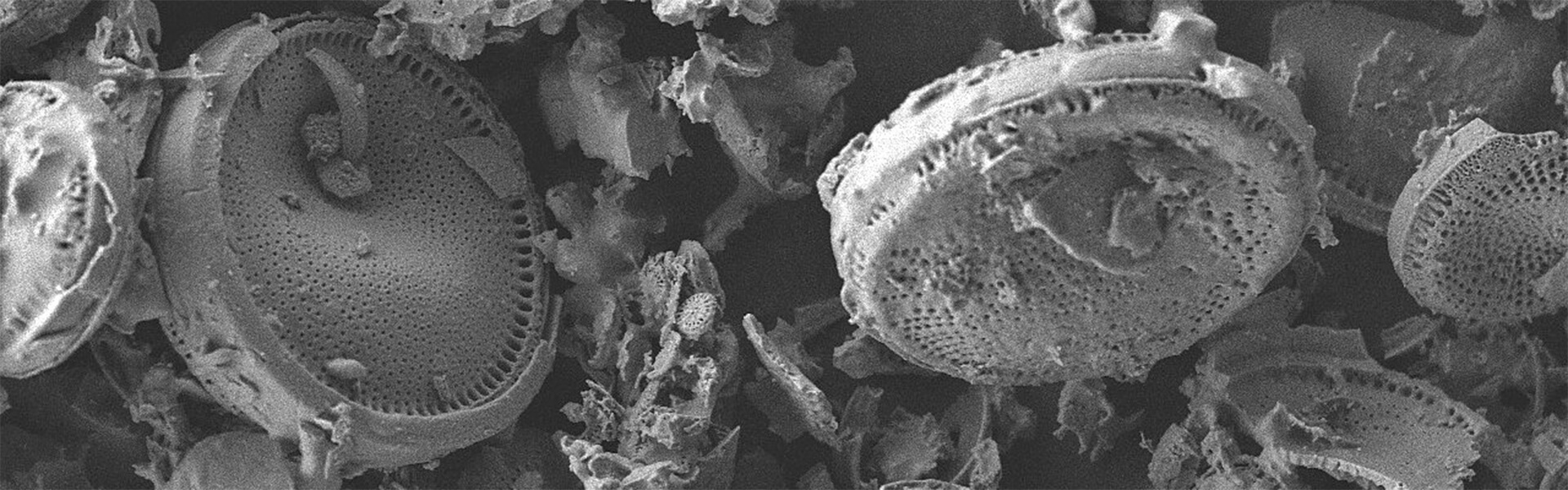 NCE – NANOMATERIALS AND CERAMIC ENGINEERING